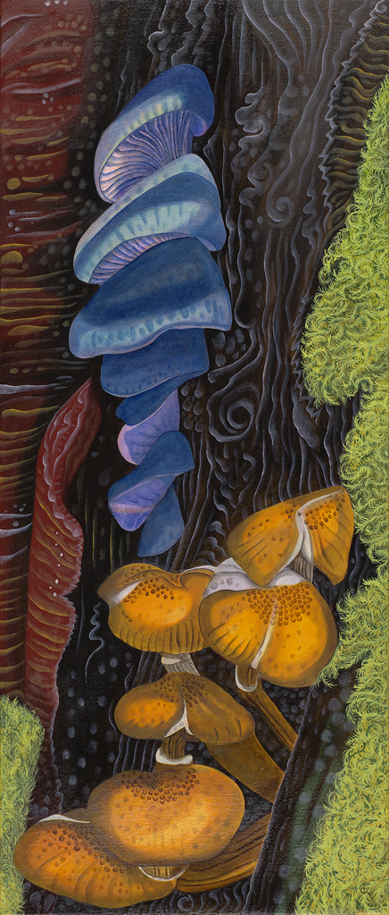 "Fungi" - Color Afoot Press